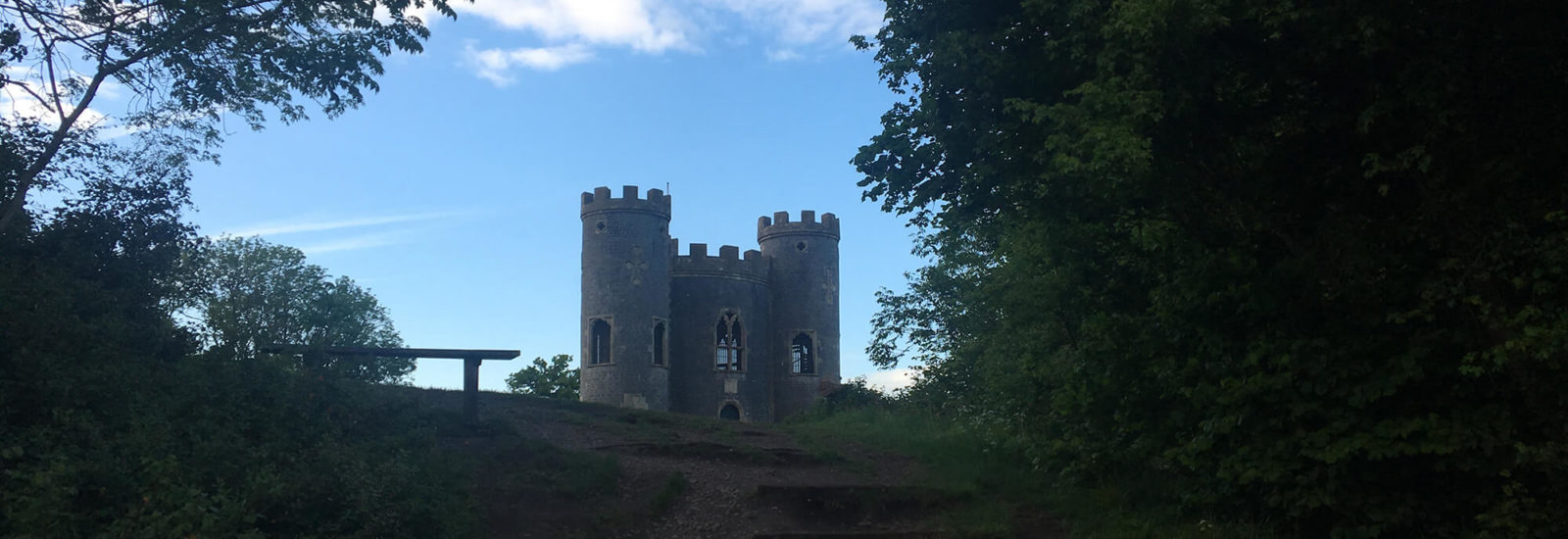 Blaise Castle Estate - Bristol dog walk - Bristol Barkers