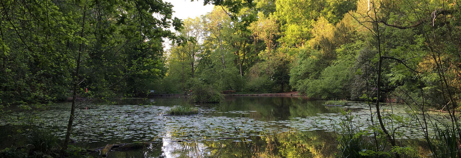 Abbots Pool - Bristol dog walk - Bristol Barkers