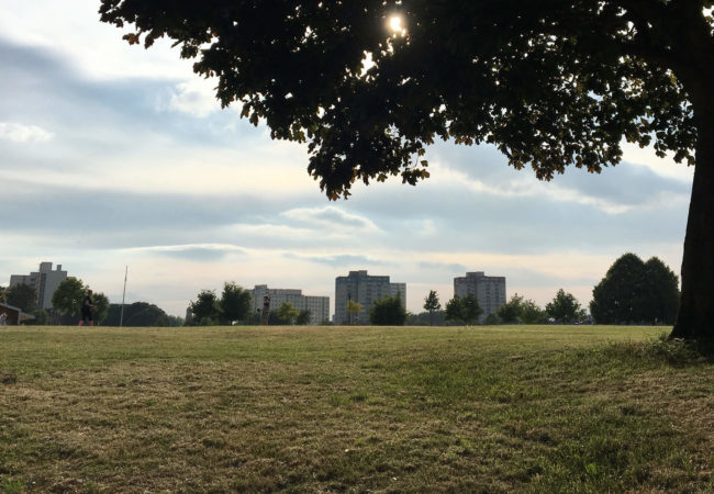 Yate Common - Bristol dog walk - Bristol Barkers