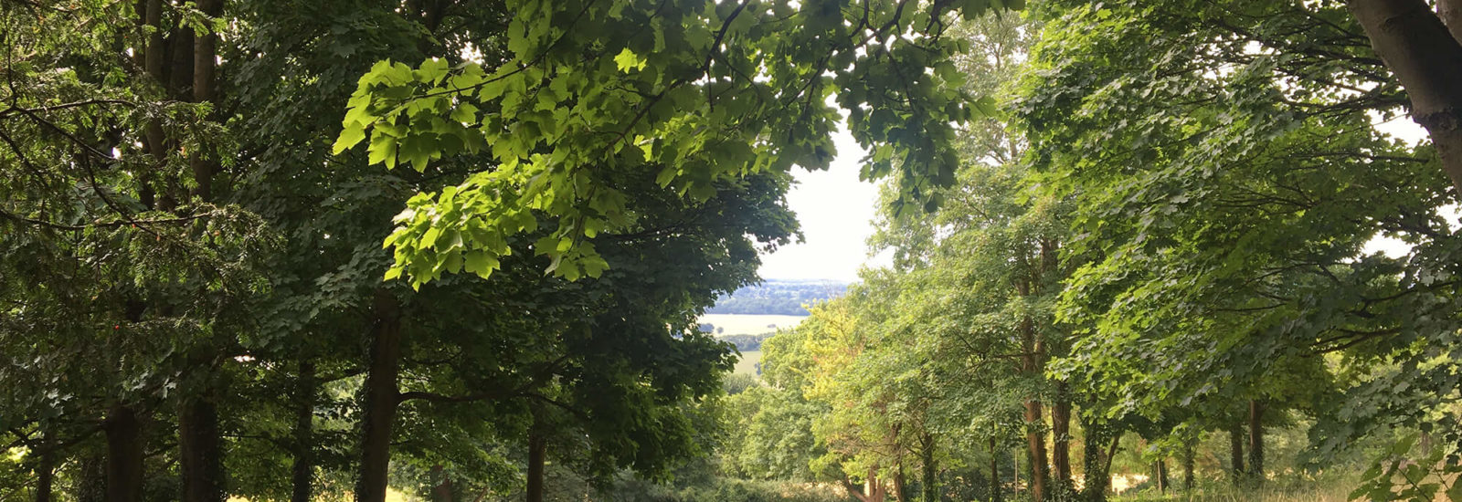 Shirehampton Park - Bristol dog walk - Bristol Barkers