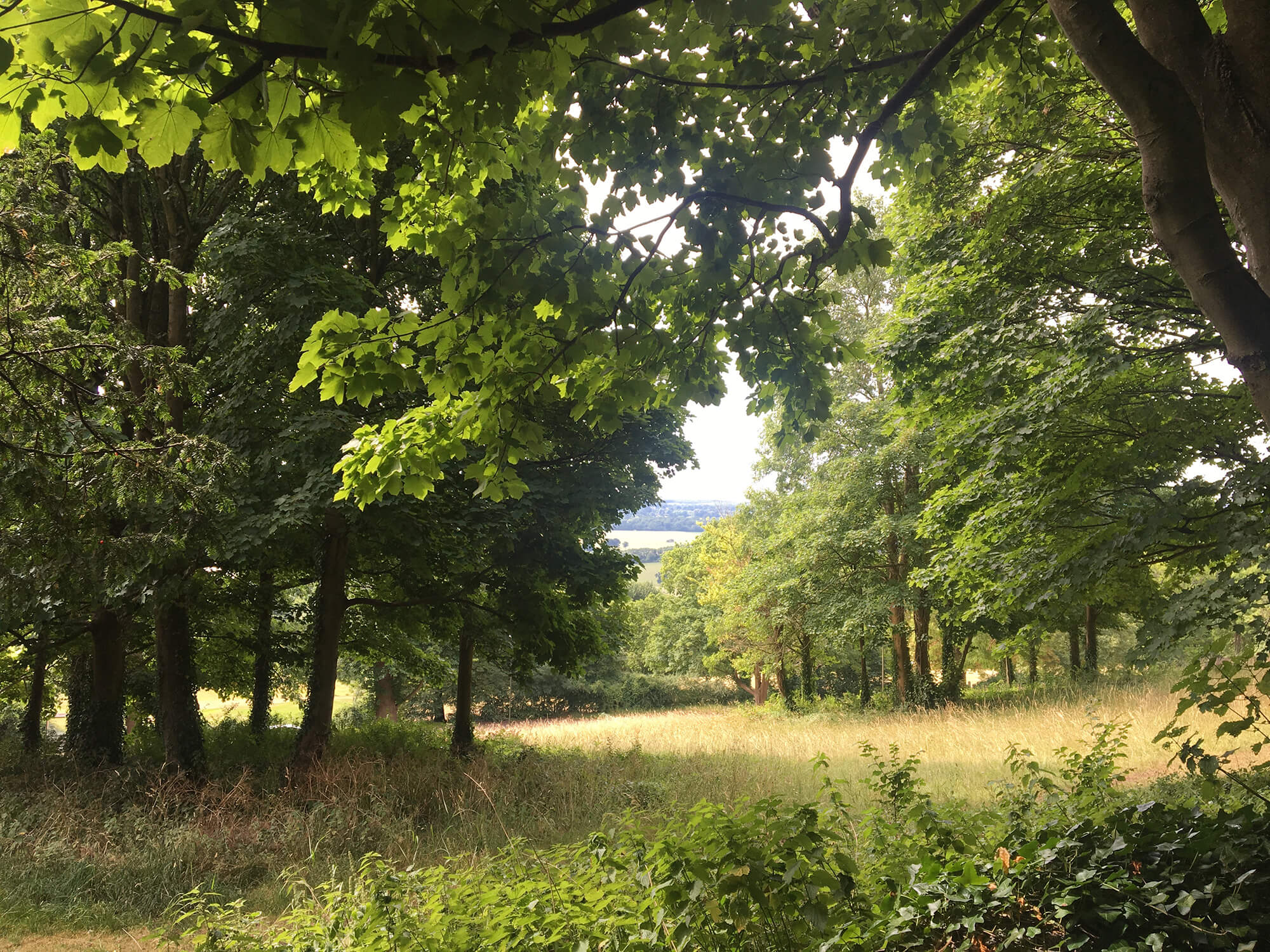 Shirehampton Park - Bristol dog walk - Bristol Barkers