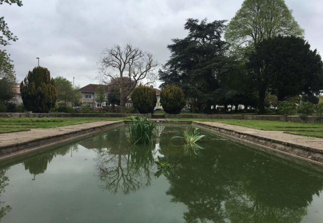 Bark Park - Bristol dog walk - Bristol Barkers