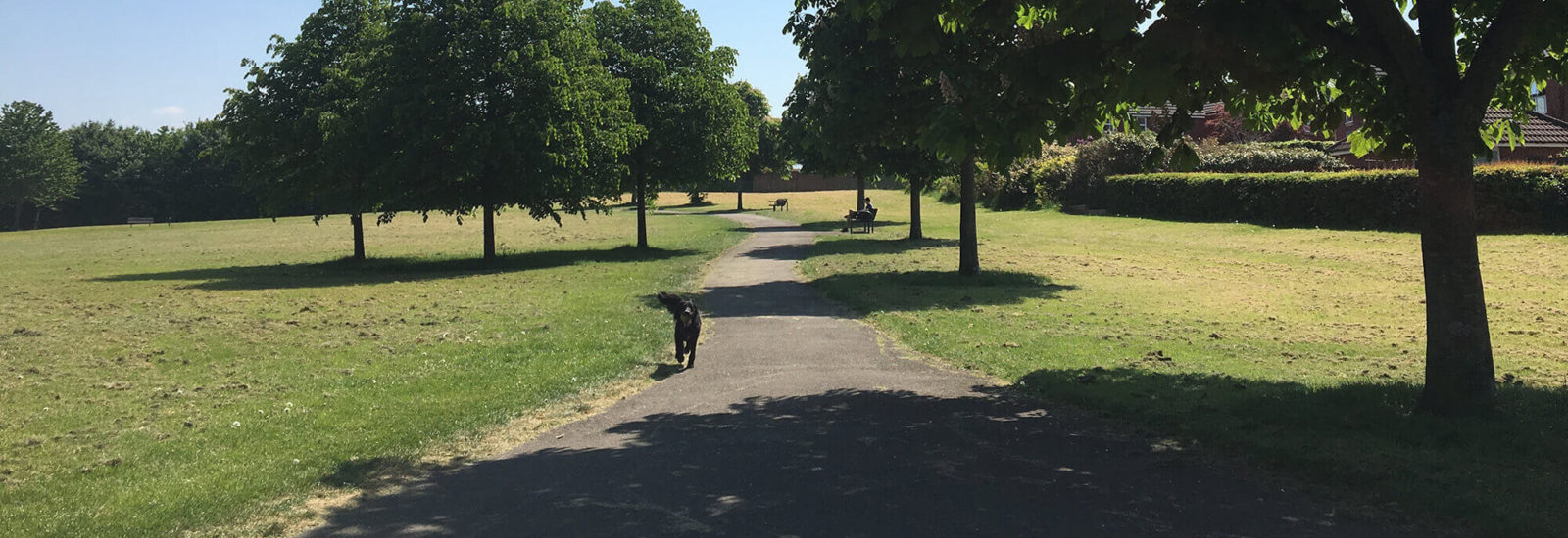 Monk's Park - Bristol dog walk - Bristol Barkers