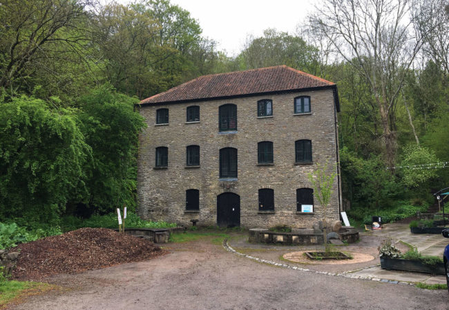 Nightingale Valley - Bristol dog walk - Bristol Barkers