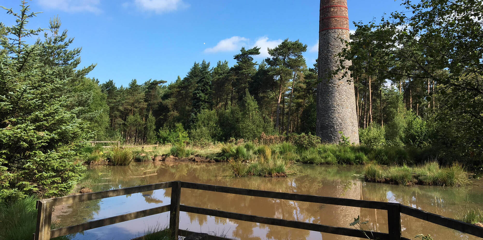 East Harptree Wood & Smitham Chimney - Bristol dog walk - Bristol Barkers