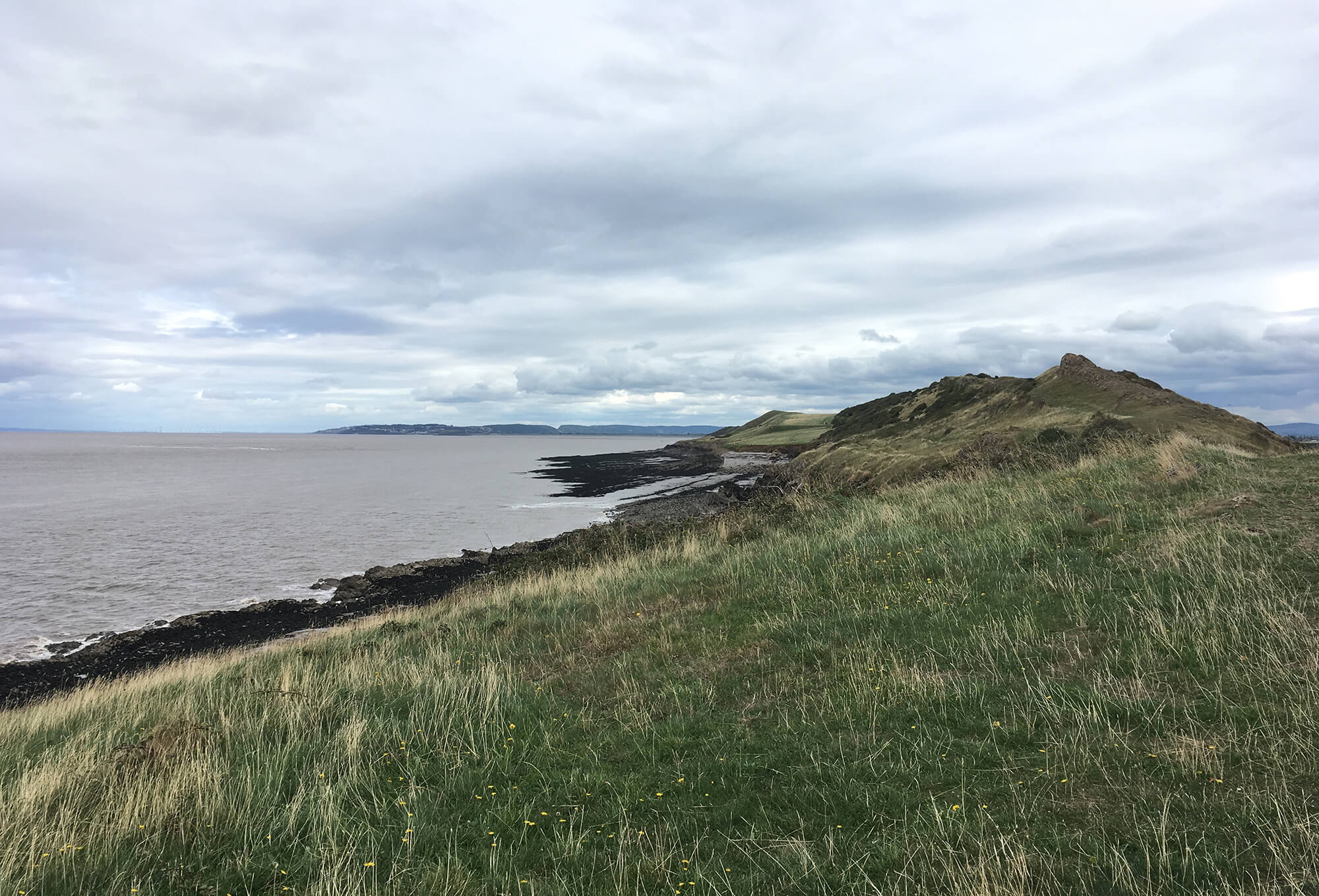 Sand Point - Bristol dog walk - Bristol Barkers