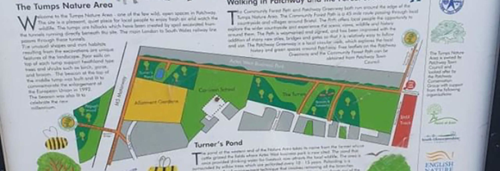 The Tumps Nature Area - Bristol dog walk - Bristol Barkers