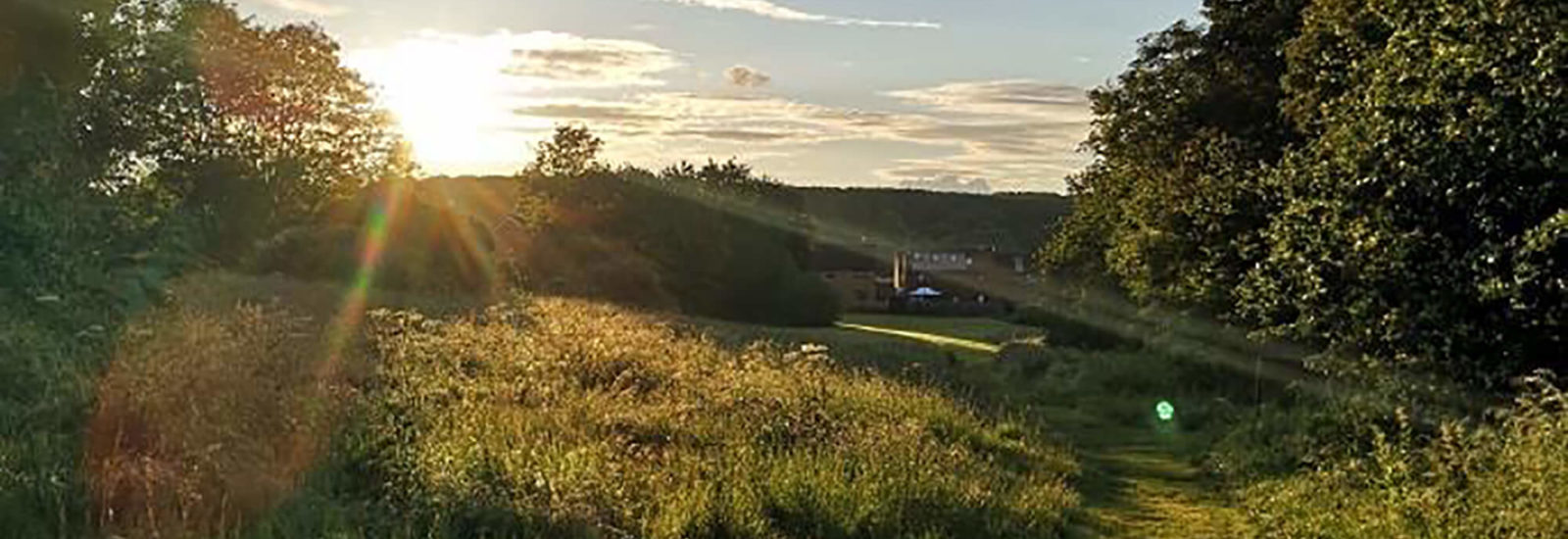 Begbrook Green Park - Bristol dog walk - Bristol Barkers