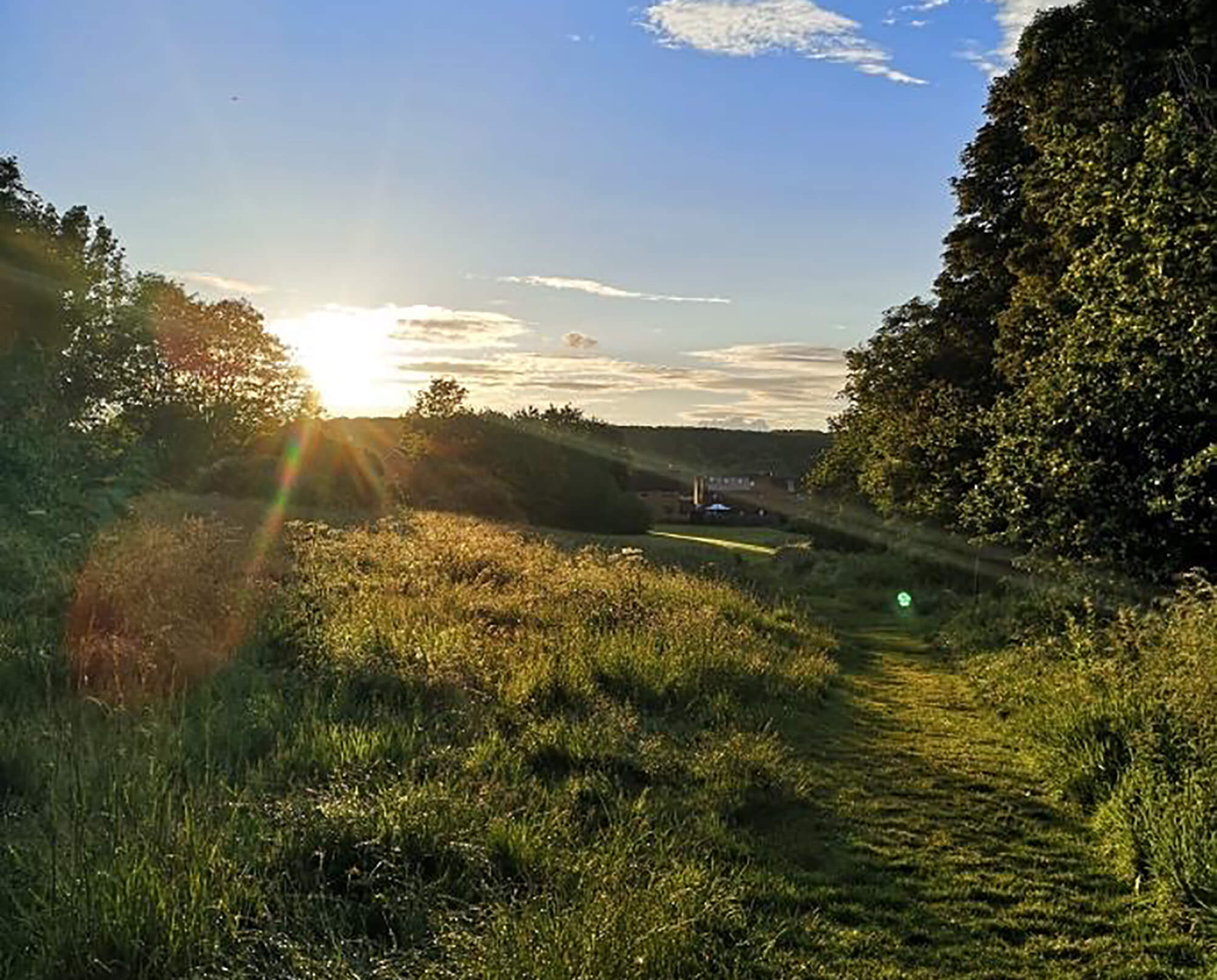 Begbrook Green Park - Bristol dog walk - Bristol Barkers
