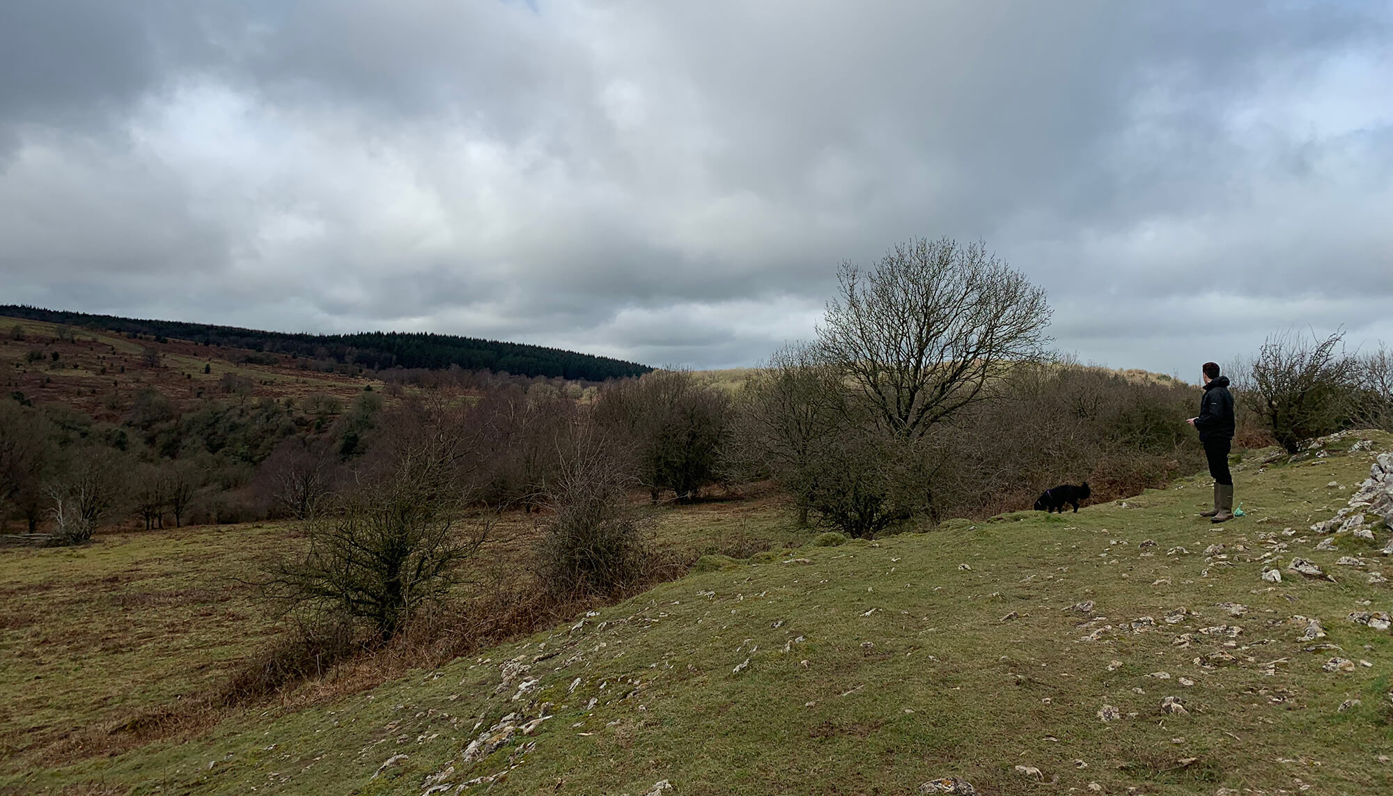 Burrington Ham - Bristol dog walk - Bristol Barkers