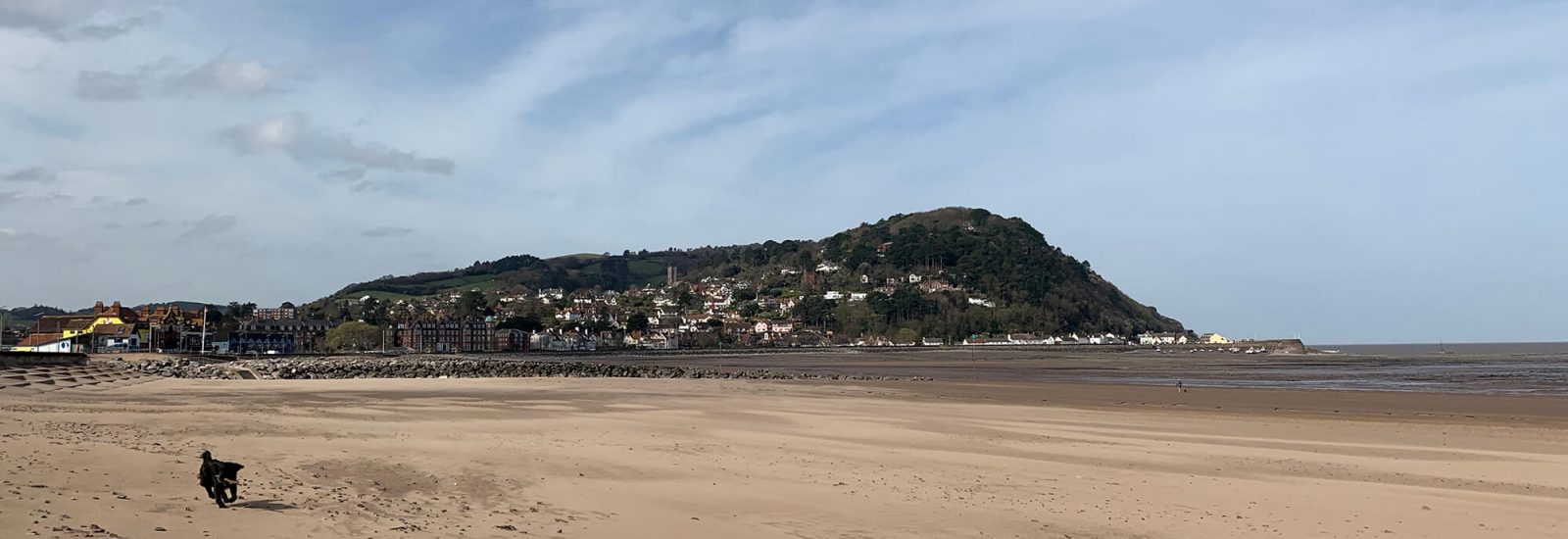 Minehead Beach - Bristol dog walk - Bristol Barkers