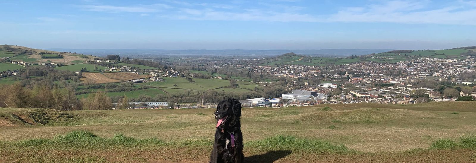 Rodborough Common - Bristol dog walk - Bristol Barkers
