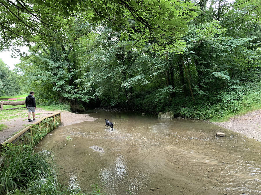 Delamare Park Nunney