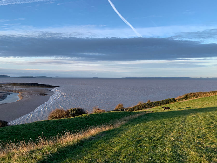Poet's Walk & Coastal Path Circular - Bristol dog walk - Bristol Barkers